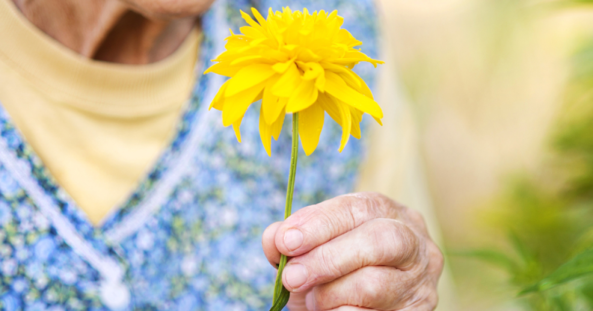 Spring Health & Wellness Tips for Seniors - Vibrant Life Senior Living